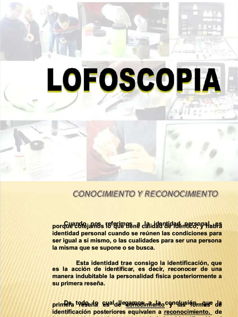 lofoscopia | Descargar gratis PDF | Huella dactilar