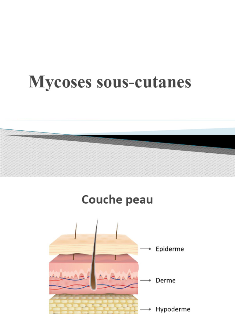 Mycoses Souscutanes | PDF | Champignons | Bactérie