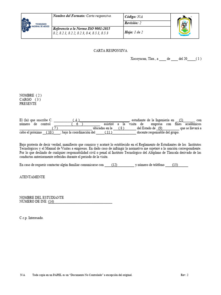 Anexo Formato de Carta Responsiva | PDF
