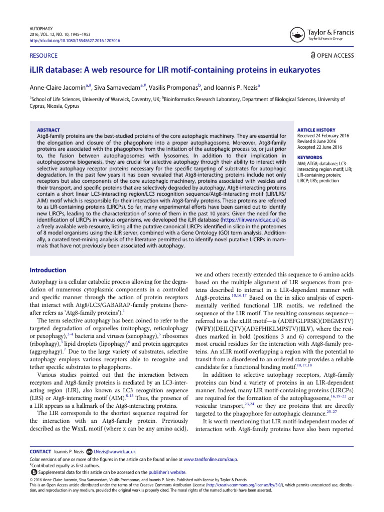 iLIR Database - A Web Resource For LIR Motif-Containing Proteins in ...