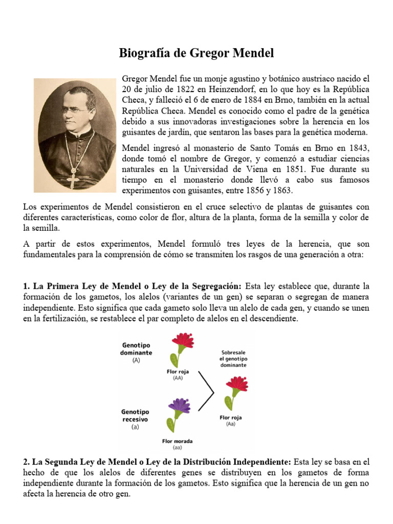 Biografía de Gregor Mendel | PDF | Ciencias de la vida | Biología Biografía de Gregor Mendel | PDF | Ciencias de la vida | Biología
