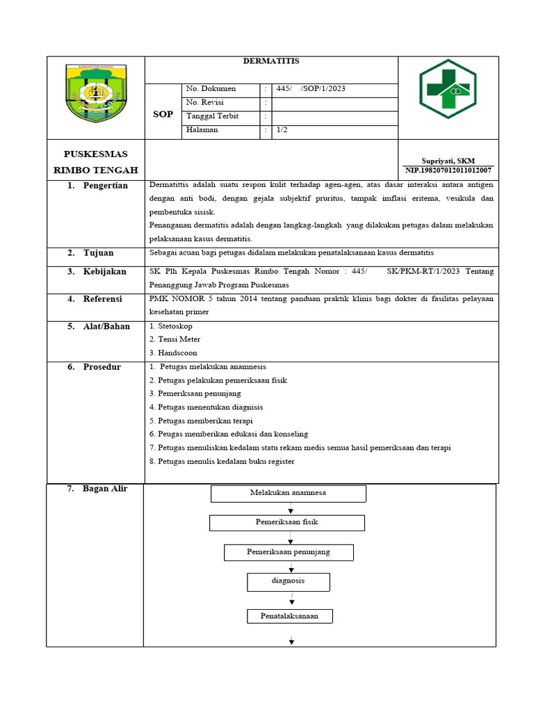 Panduan Penanganan Dermatitis di Puskesmas | PDF