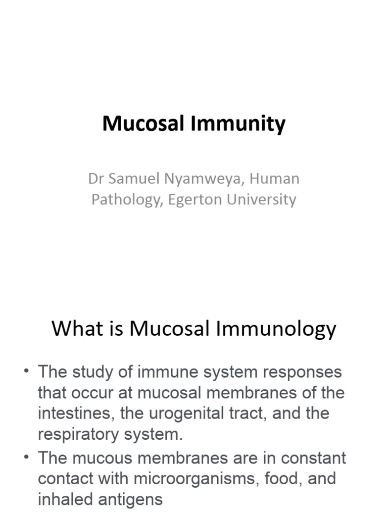 Mucosal Immunity | PDF | Immune System | Immune Tolerance