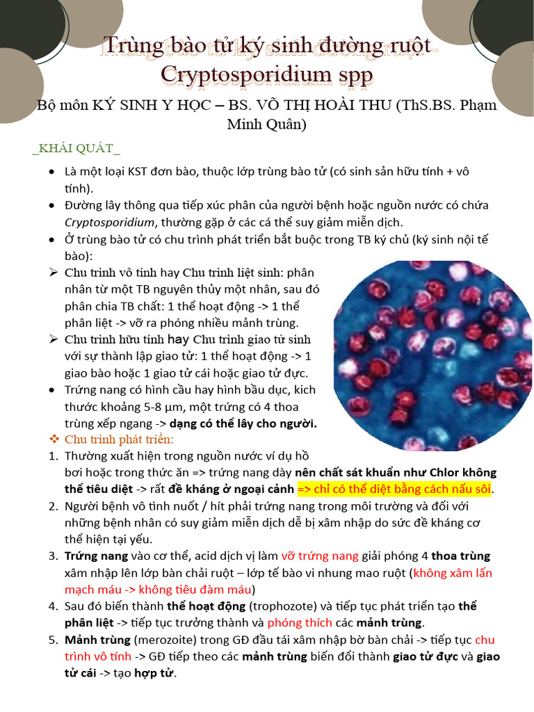 Cryptosporidium SPP | PDF