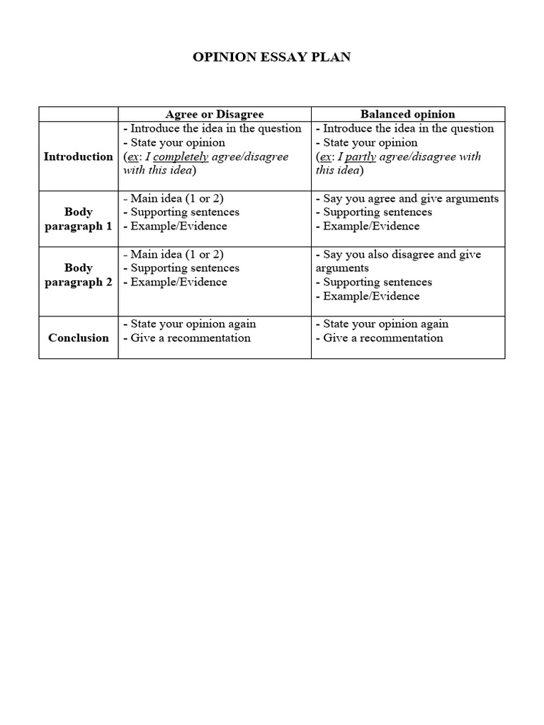 Opinion Essay | PDF | Argument | Evidence