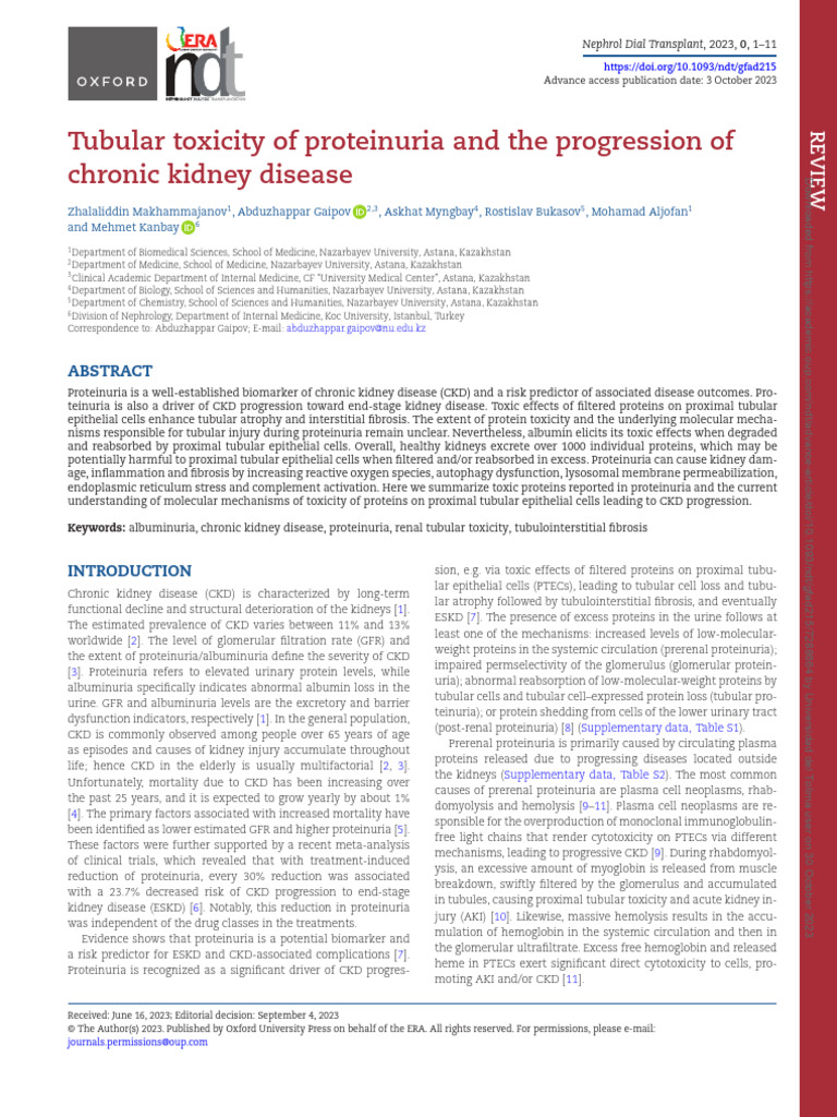 Tubular Toxicity of Proteinuria and The Progression of Chronic Kidney Disease | PDF | Autophagy ...