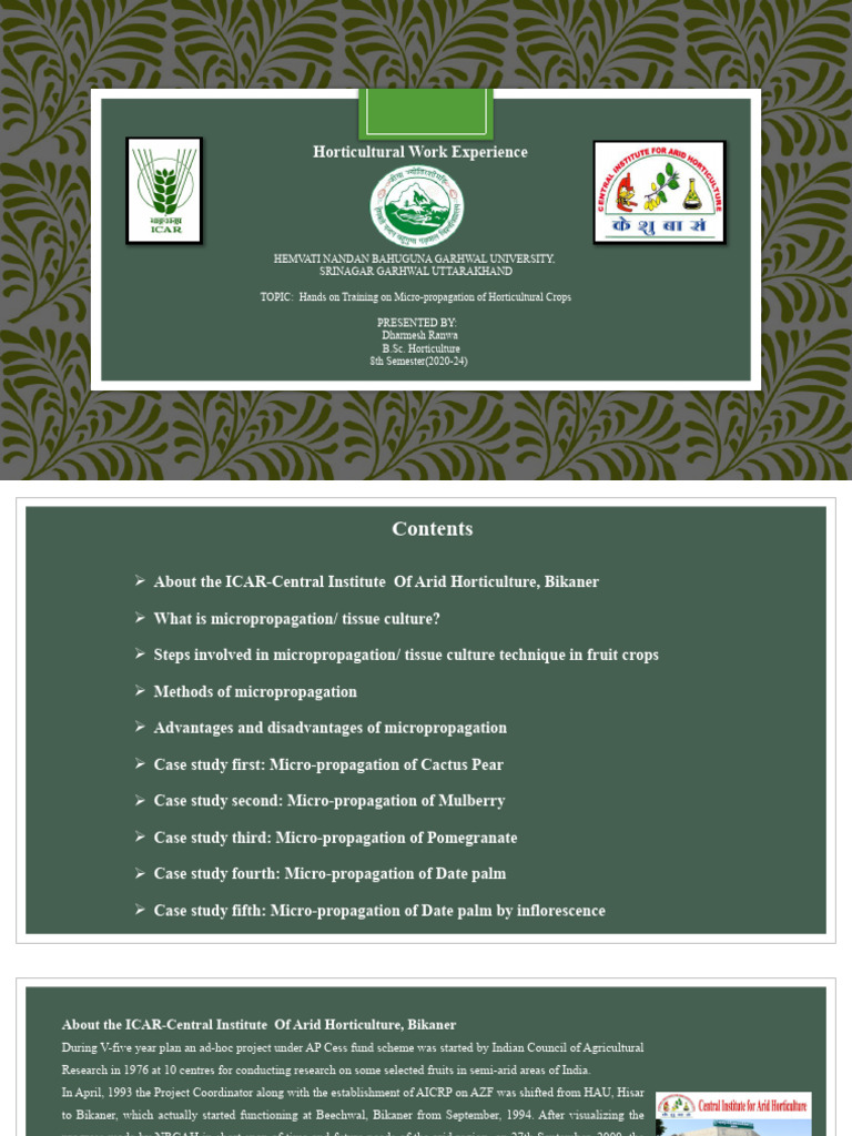 Dharmesh Micropropagation PP | PDF | Botany | Plants