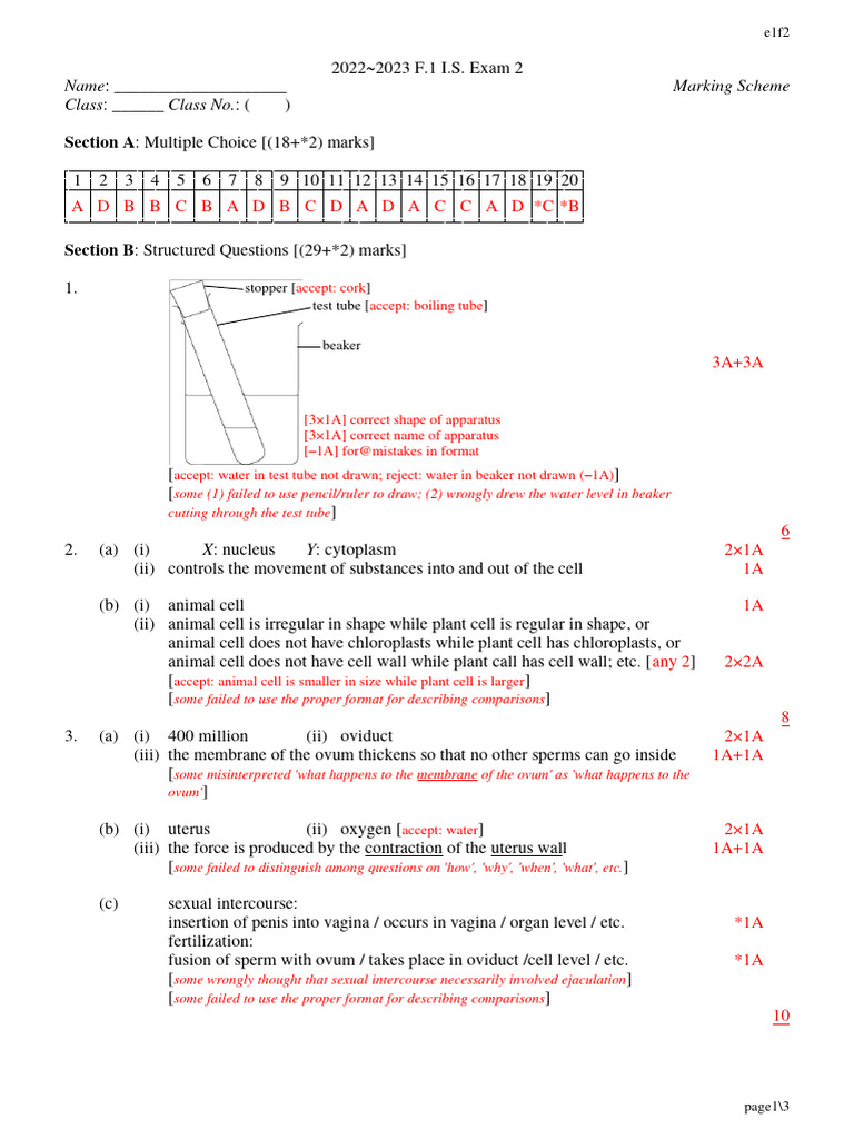 F1_IS_ANS | Download Free PDF | Cell (Biology) | Vagina