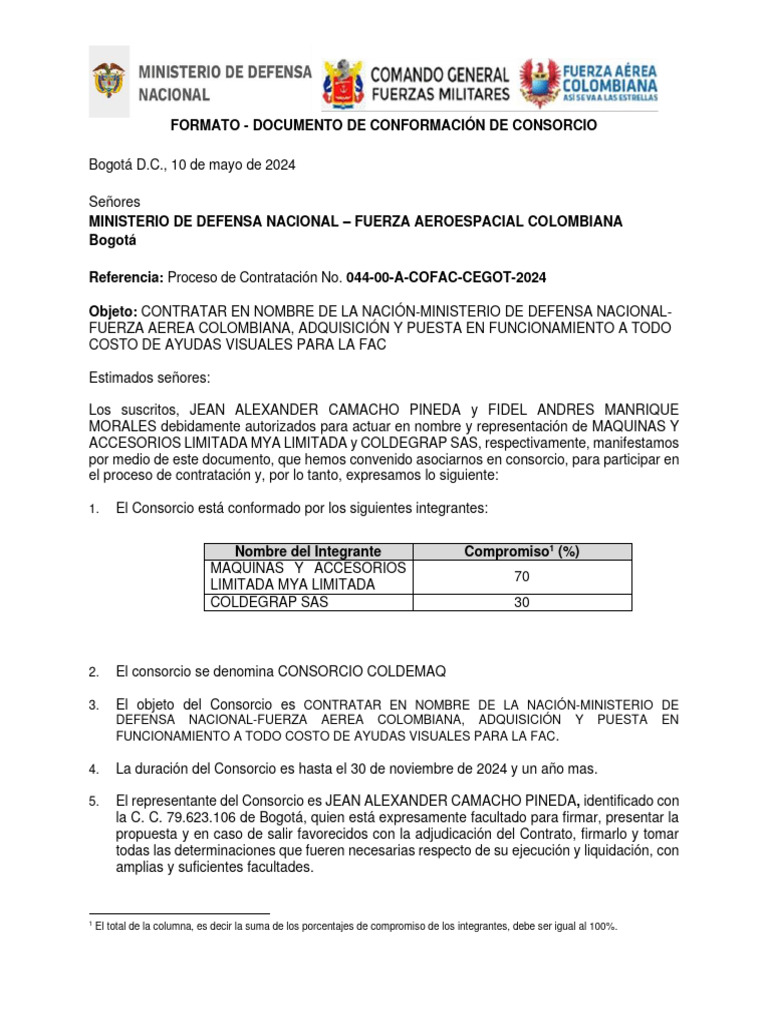 FORMATO_CONFORMACION_PROPONENTE_PLURAL[1] | PDF