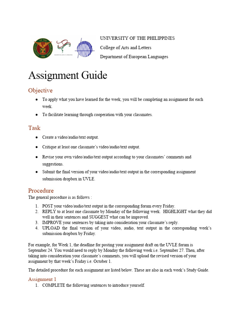 Spanish Assignment Guide | PDF