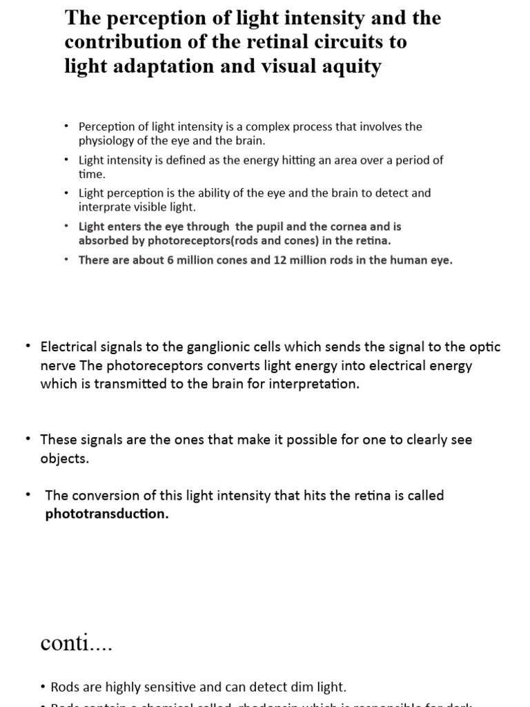 The Perception of Light Intersity and Contributions of The Retinal Circuits To Light Adaptation ...