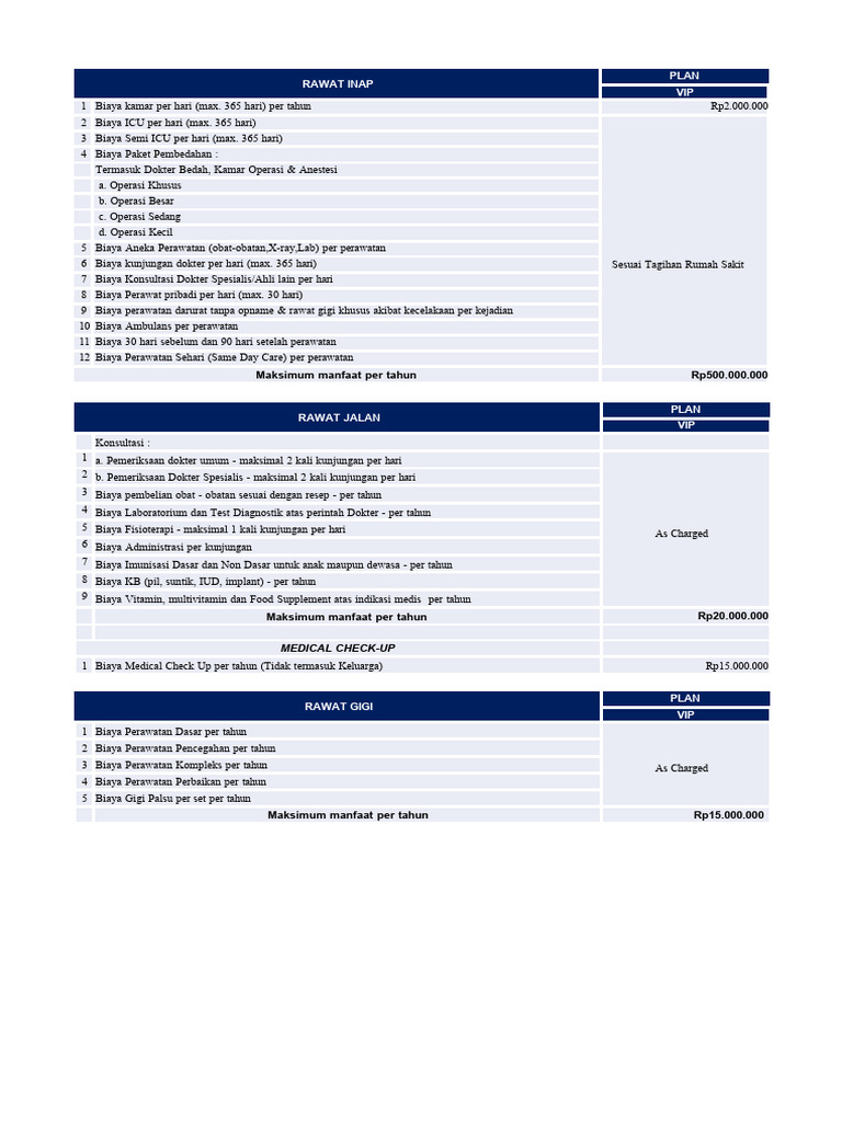 Resume Plan Askes 2023-2024 Vip MK | PDF
