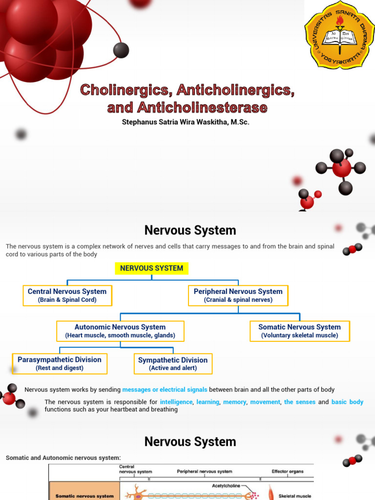 Cholinergics, Anticholinergics, and Anticholinesterases The Adrenergic ...
