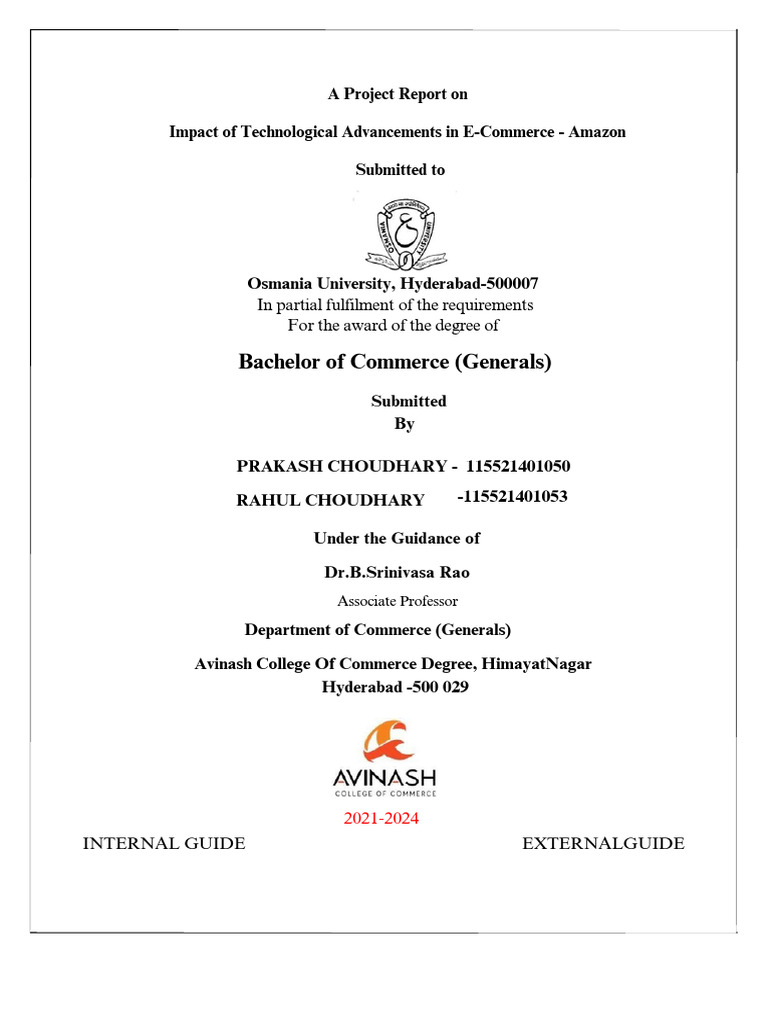 RPAmazonfinal Project | PDF | E Commerce | Business