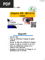 Anatomie du Corps Géniculé Latéral | PDF | Système visuel | Vision