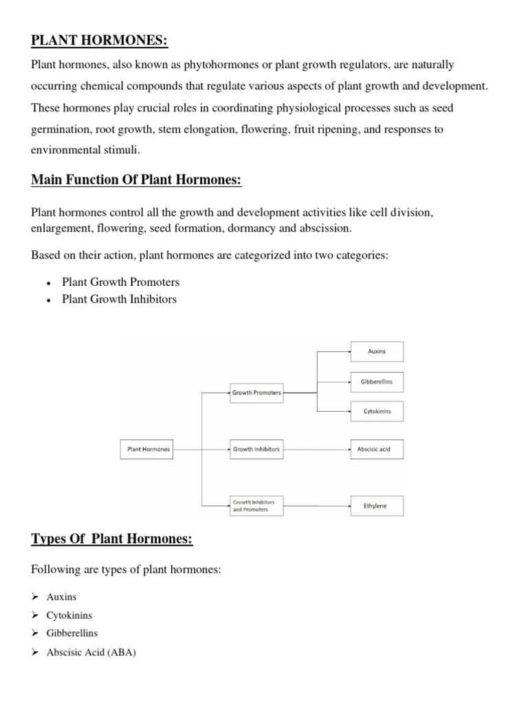 Plant Hormones | Download Free PDF | Plant Hormone | Auxin