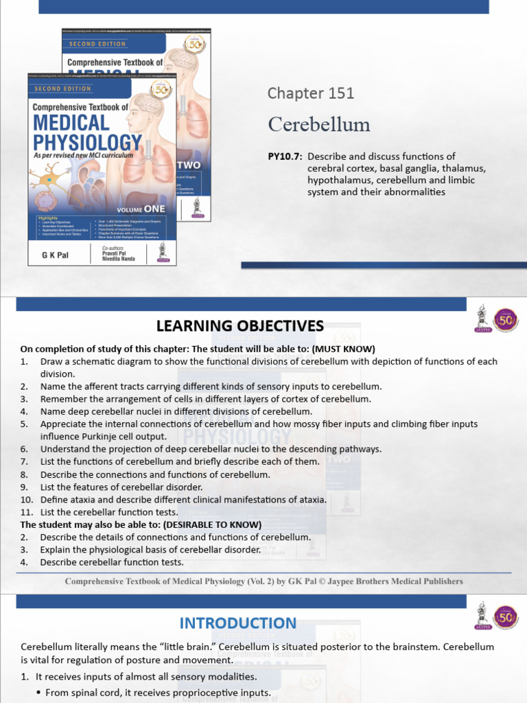 cerebellum | PDF | Cerebellum | Brainstem