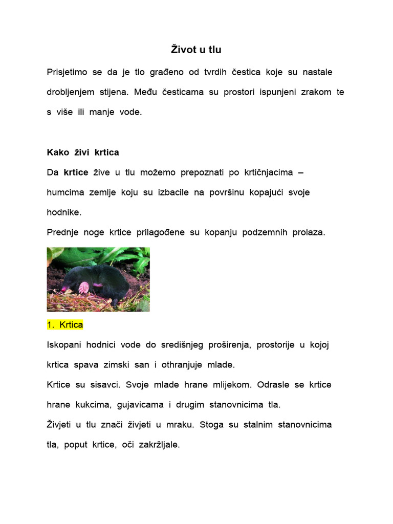 Kako Je Živjeti U Tlu | PDF