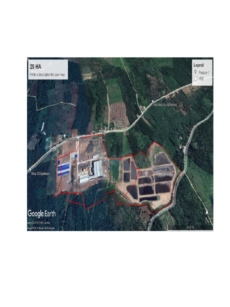 MAPSS | PDF