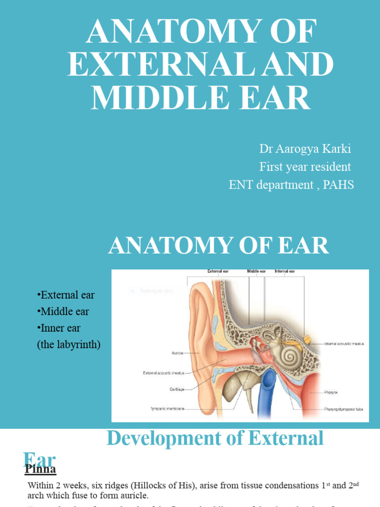 Callaural Fistula in Ear Anatomy | PDF | Ear | Human Anatomy
