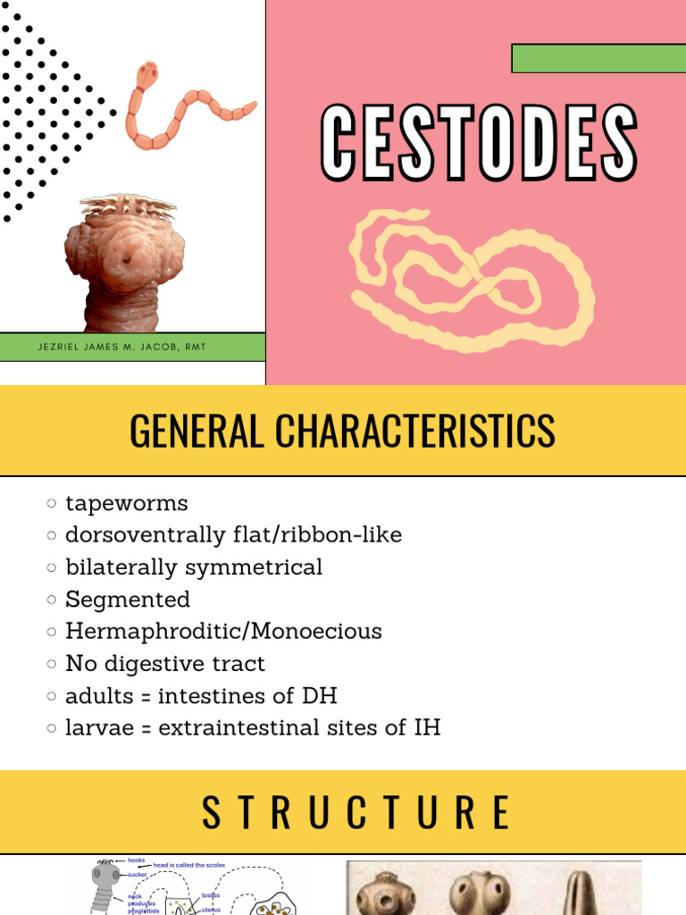 CESTODES | PDF | Medical Specialties | Diseases And Disorders