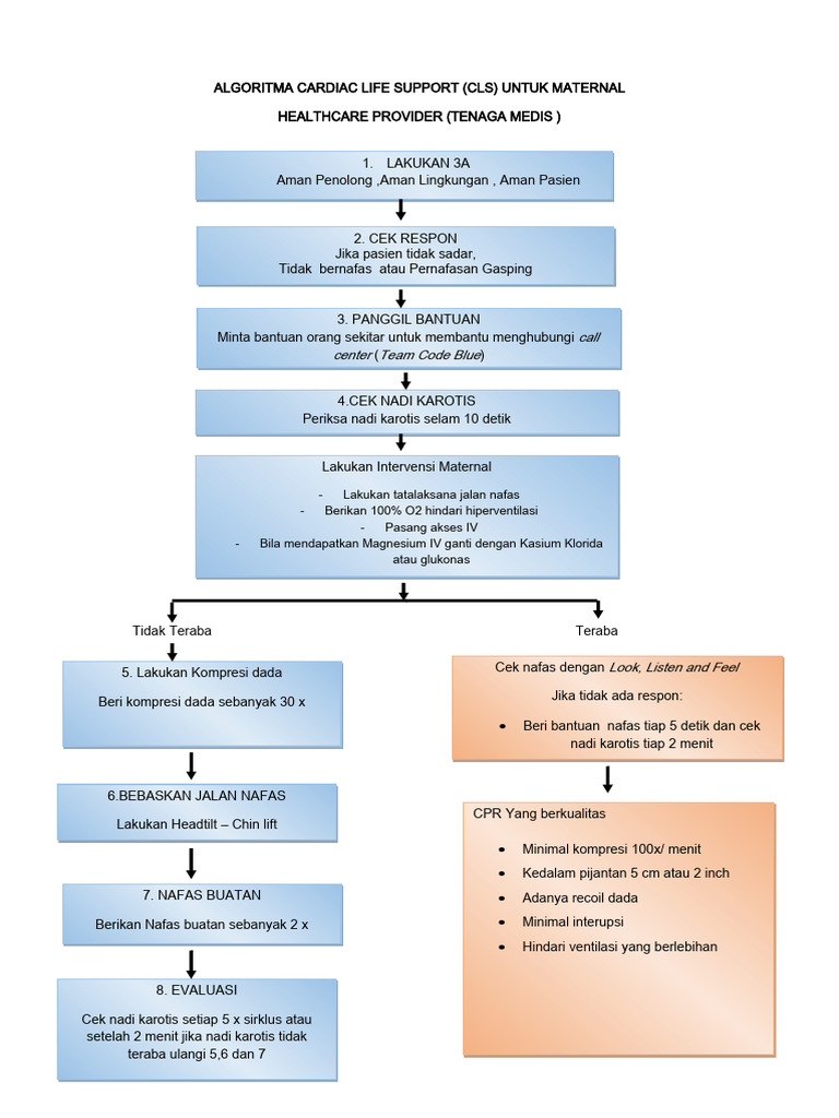Algoritma Cardiac Life Support | PDF