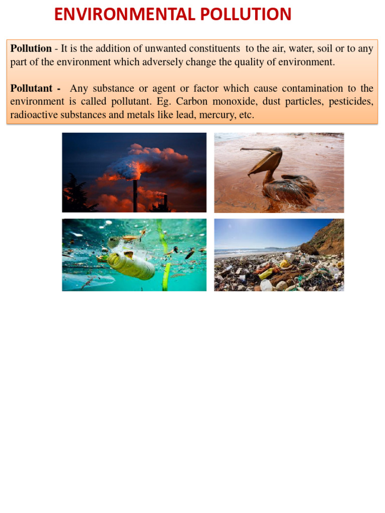 Module 2 Pollution | PDF | Air Pollution | Water Pollution