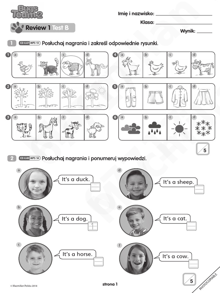 Review 1 Test B Bugs Team 2 | PDF