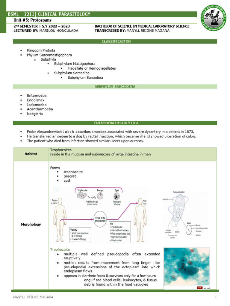 Protozoans EDITED | PDF | Medical Specialties | Biology