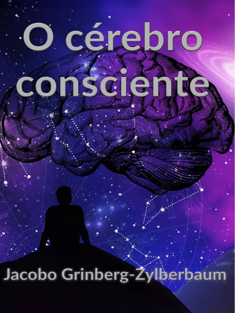 Campo Neuronal e Consciência Unificada | PDF | Experiência | Cérebro