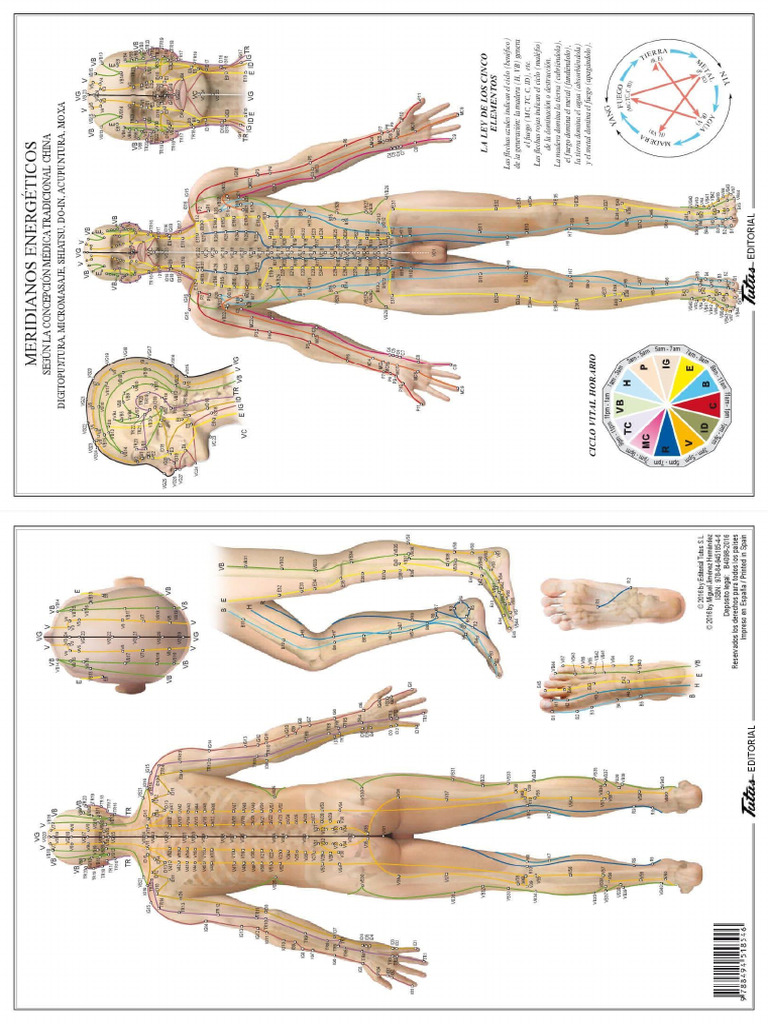 MERIDIANOS ENERGETICOS - JPG | PDF