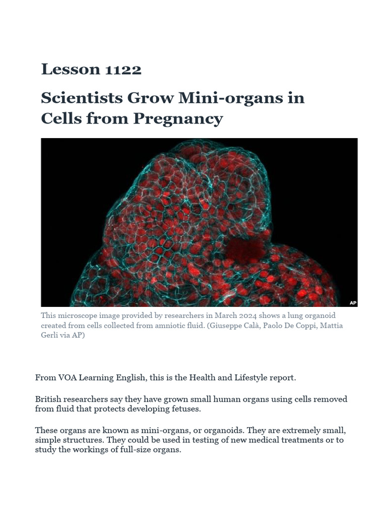 Lesson 1122 | PDF | Pregnancy | Abortion