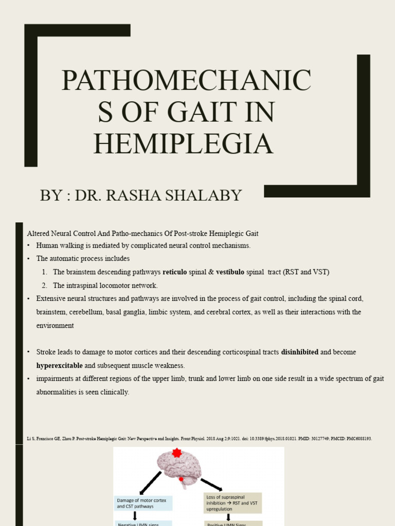 Hemiplegia and gait disorders | PDF | Human Leg | Anatomical Terms Of ...
