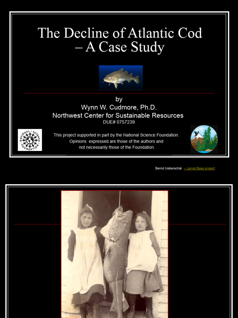 8.2 Decline of Atlantic Cod. A Case Study PowerPoint | PDF | Cod ...