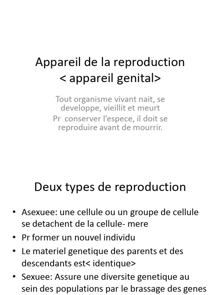 Anatomie de la reproduction humaine | PDF | Testicule | Système ...
