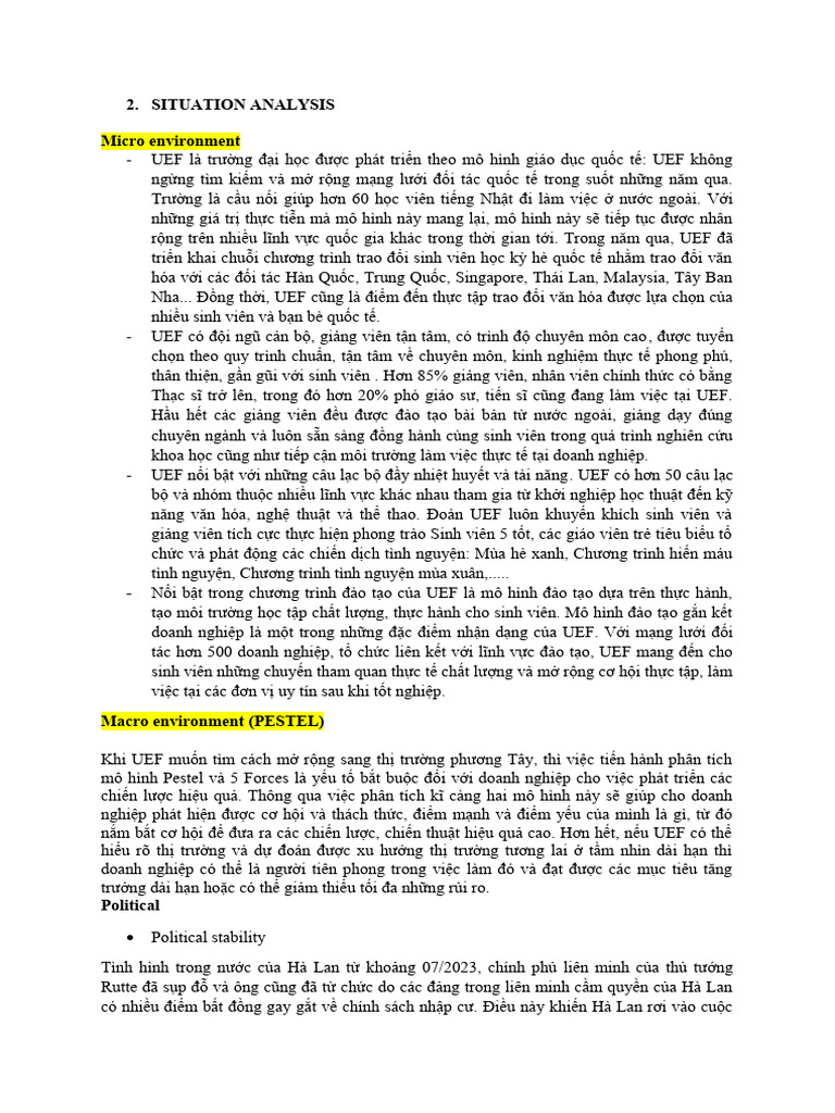 Situation Analysis | PDF