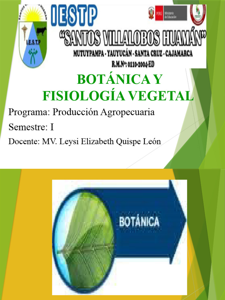 Historia y ramas de la botánica | PDF | Botánica | Plantas