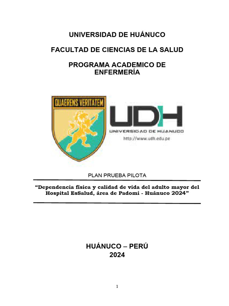 Guia Plan Prueba Piloto | PDF | Programas sociales | Medicina