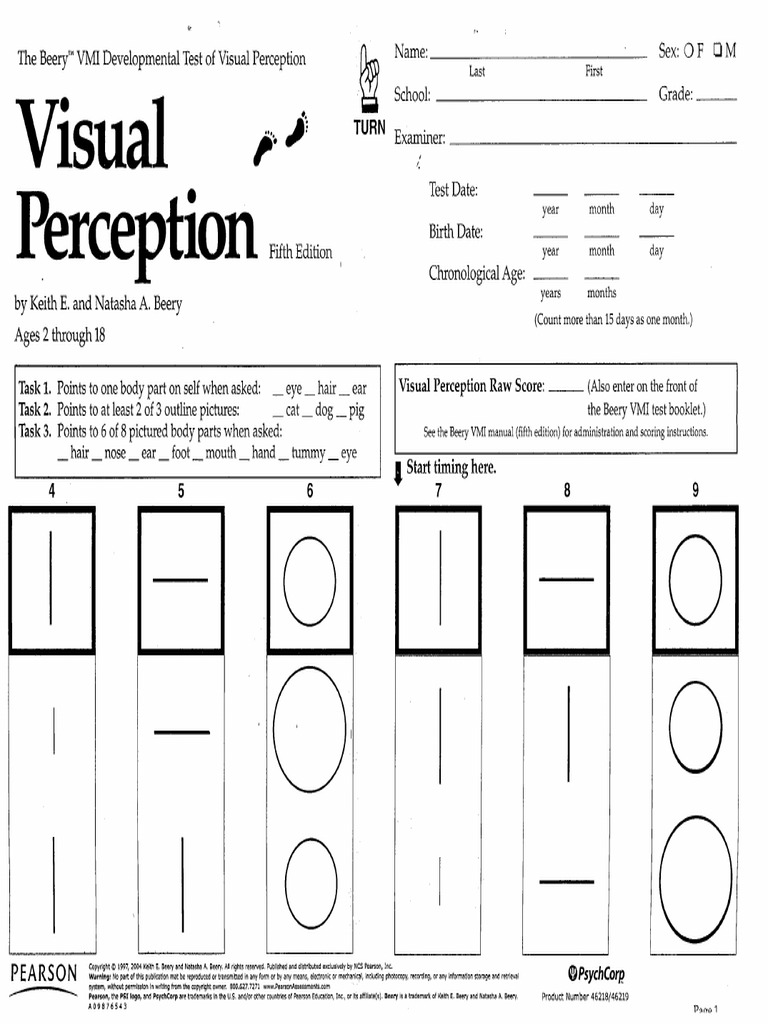 Visual Perception | PDF
