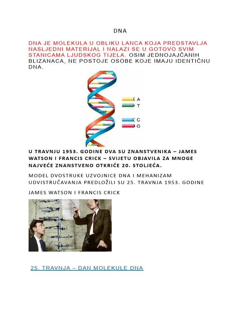 Dna Je Molekula U Obliku Lanca Koja Predstavlja Nasljedni Materijal I ...
