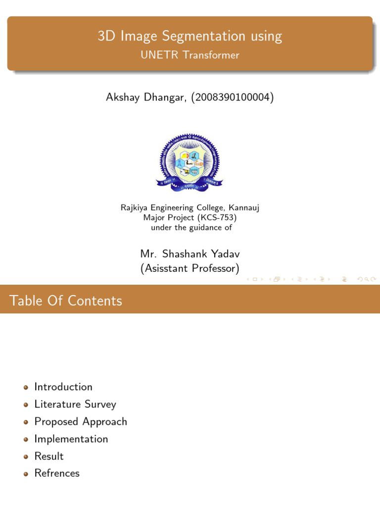 3d Image Segmentation | PDF | Image Segmentation | Medical Imaging