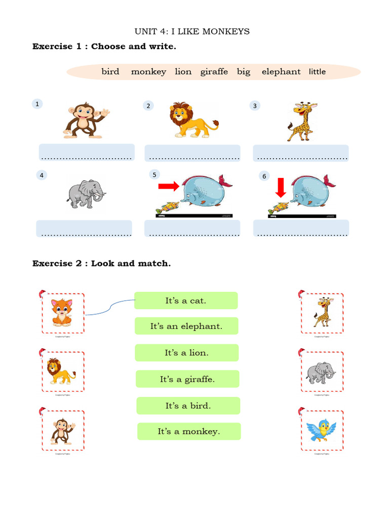 G3 UNIT 4 | PDF | Zoology