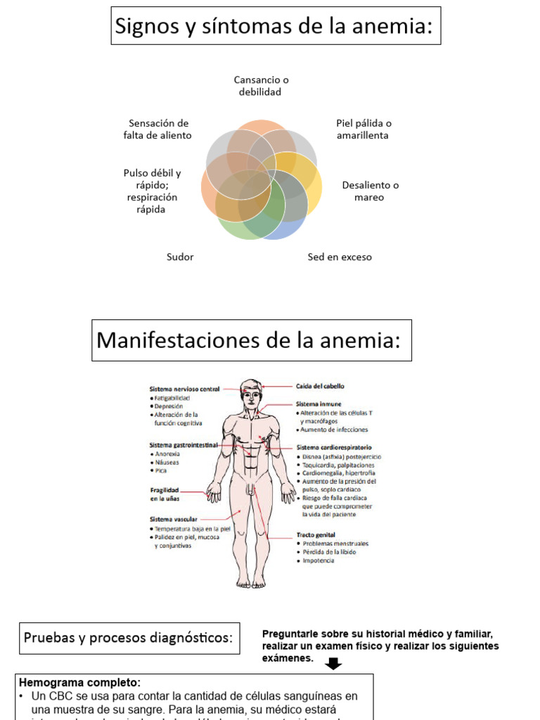 Signos y Síntomas de La Anemia (Autoguardado) | PDF | Anemia | Sangre
