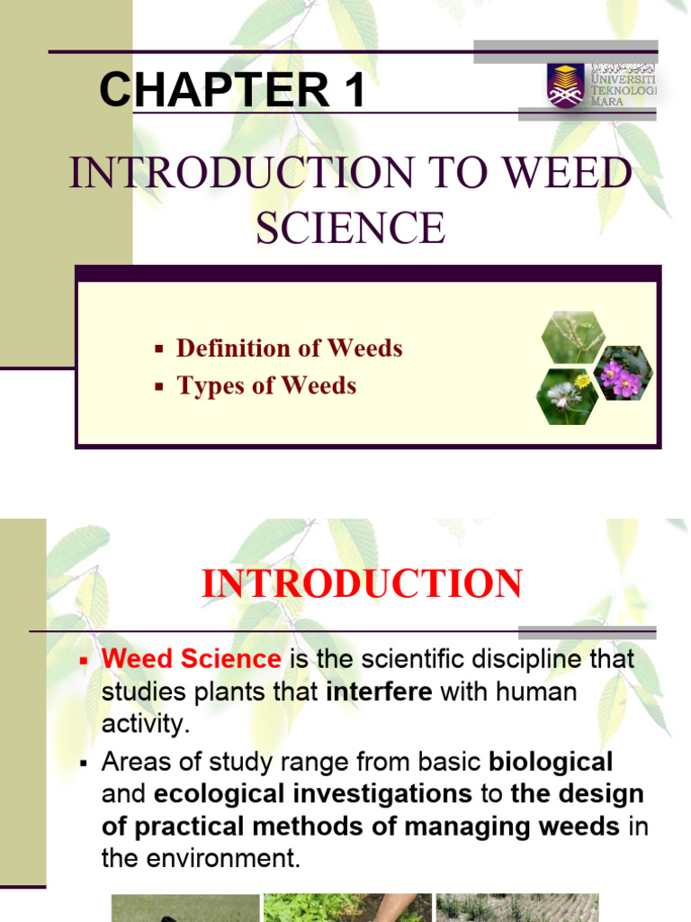 Introduction to Weed Science | PDF | Weed | Plants