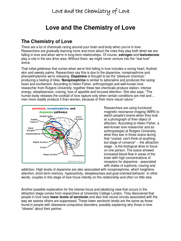 2. Love and the Chemistry of Love | Download Free PDF | Behavioural Sciences