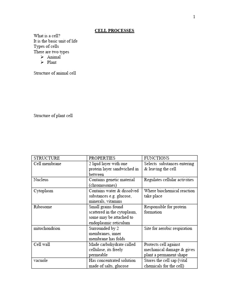 CELL PROCESSES | PDF | Osmosis | Diffusion