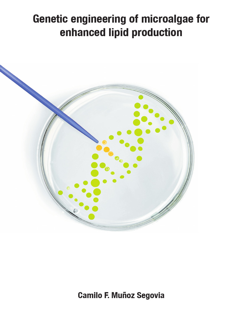 Genetic Engineering of Microalgae For Enhanced Li-Wageningen University ...