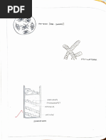 Class 12 Biology Practical File | PDF