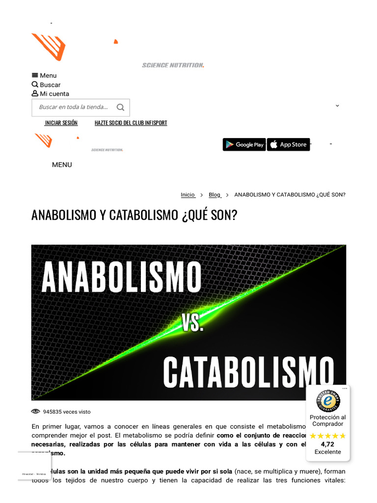 Blog - Anabolismo y Catabolismo ¿Qué Son | PDF | Metabolismo | Organismos