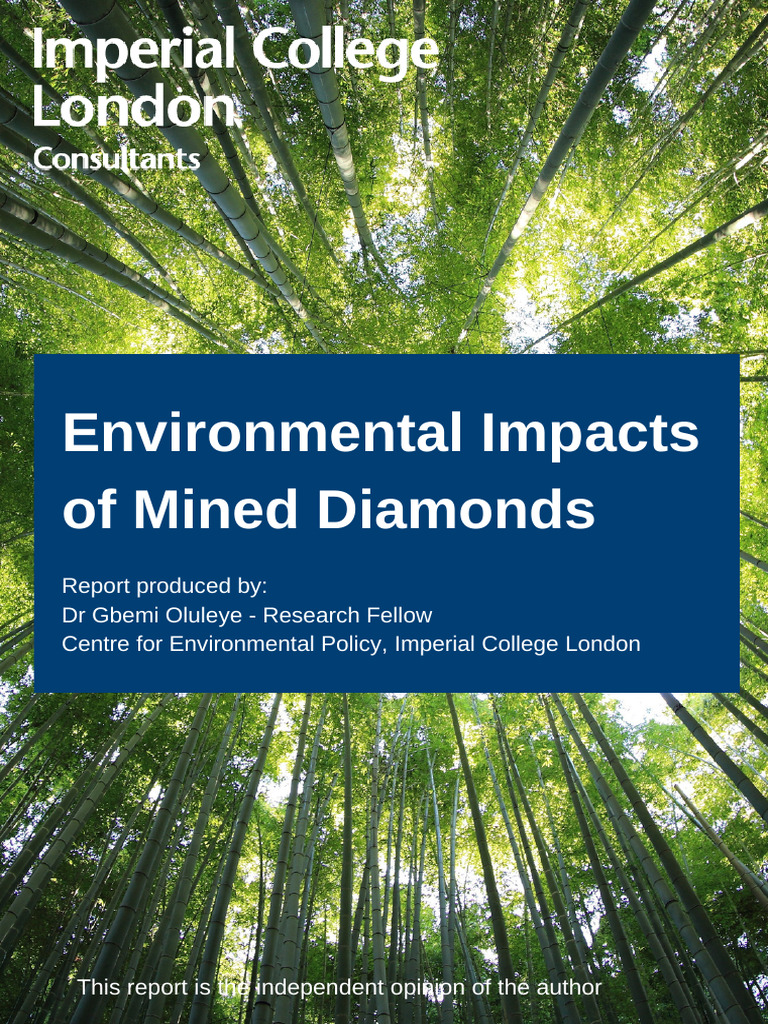 Environmental Impact of Diamond Mining | PDF | Human Impact On The ...